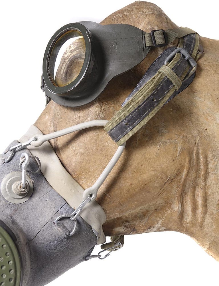 Livestock Gas Mask on an Antique Paper Mache Head at 1stDibs | paper ...