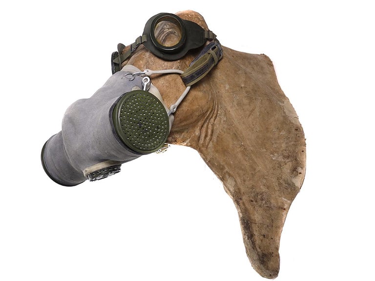 Livestock Gas Mask on an Antique Paper Mache Head at 1stDibs | paper ...