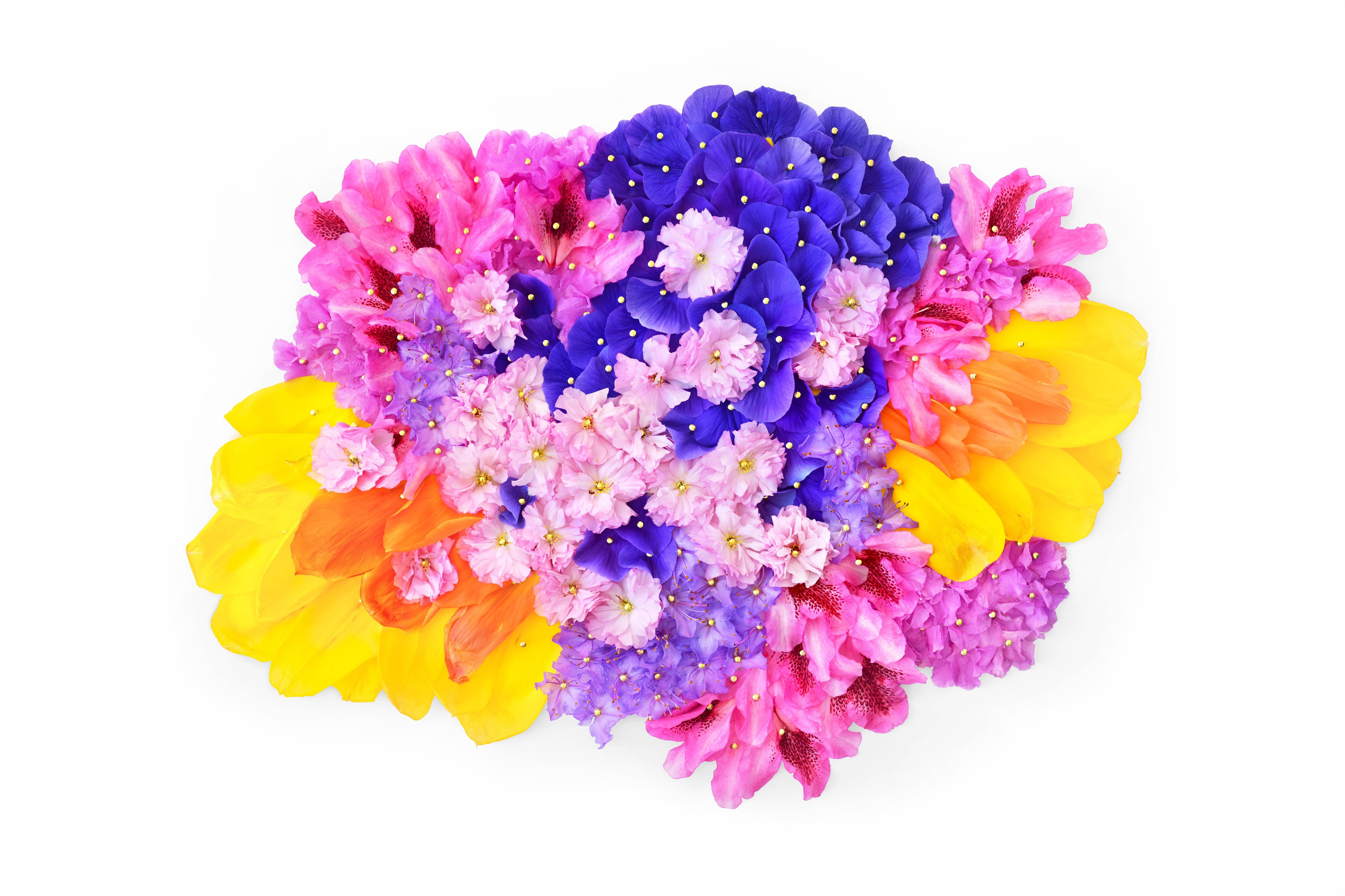 Long Gao - JULY 01 - floral - digital photography - 3mm Acrylic ...
