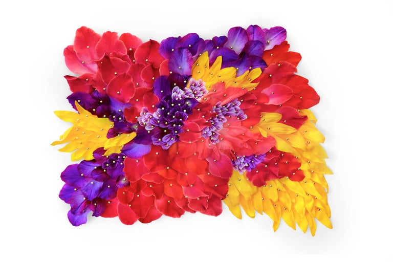 Long Gao - AUGUST 01 - floral - digital photography - 3mm Acrylic ...