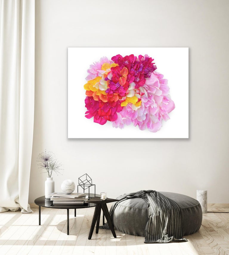 Long Gao - JUNE 01 - floral - digital photography - 3mm Acrylic ...