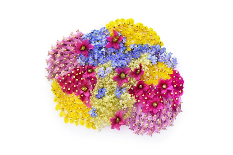 Long Gao - MAY 01 - floral - digital photography - 3mm Acrylic ...