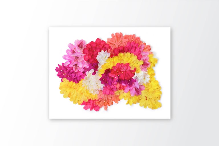 Long Gao - MAY 02 - floral - digital photography - 3mm Acrylic ...