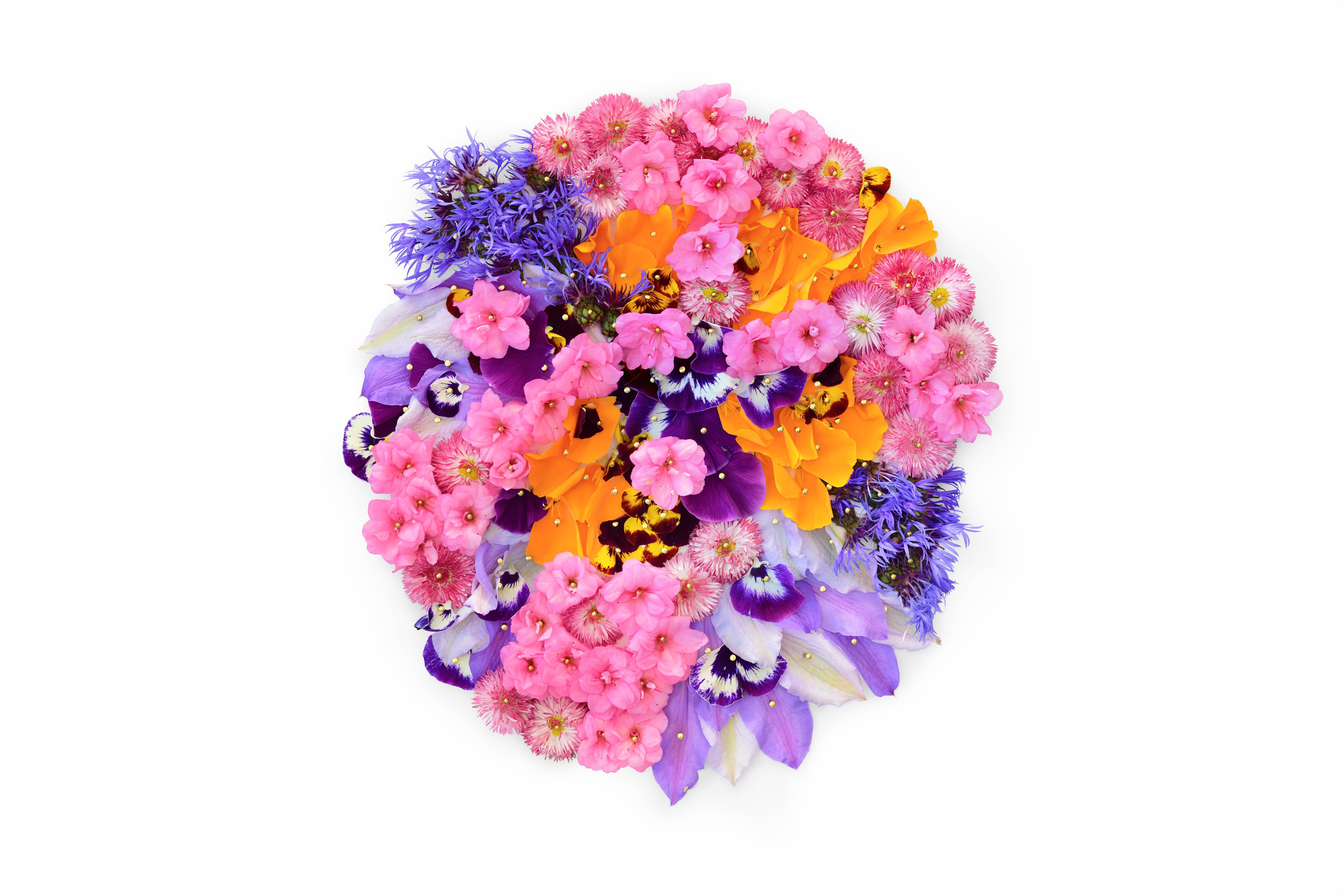 Long Gao - MAY 02 - floral - digital photography - 3mm Acrylic ...
