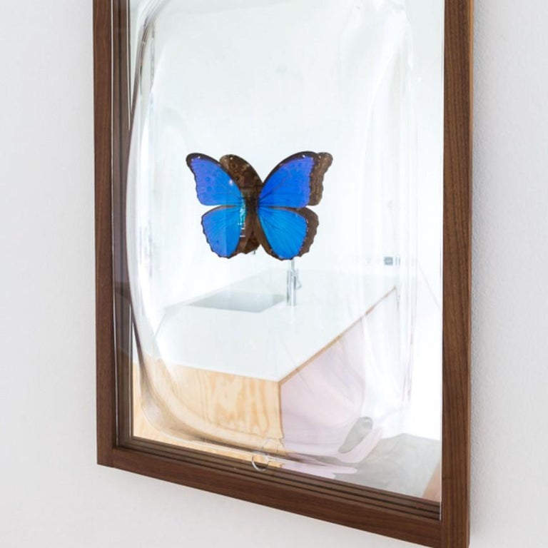 Long Showcase Mirror by Studio Thier and van Daalen For Sale at 1stDibs