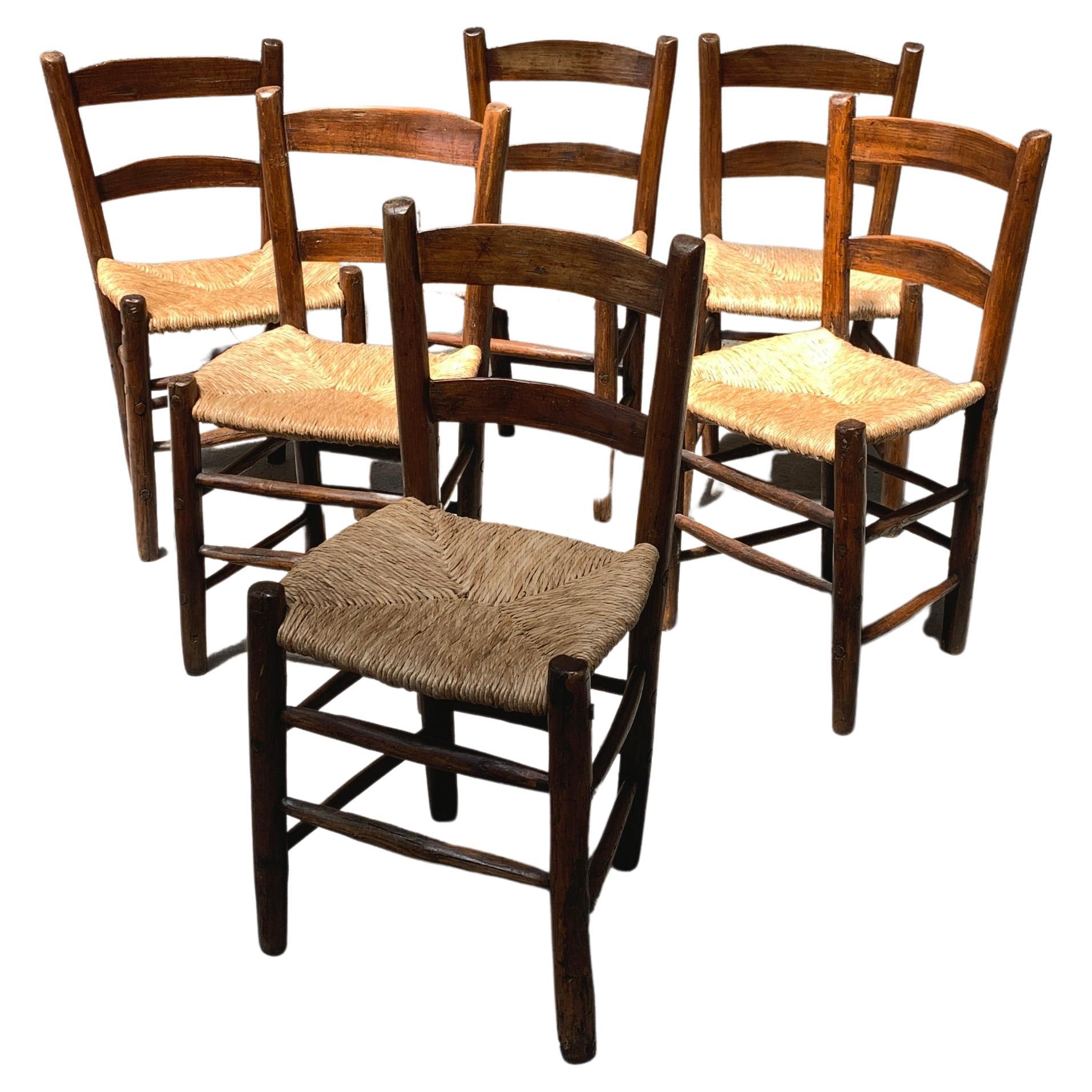 Lot de 6 chaises anciennes cévenoles début 1900 at 1stDibs
