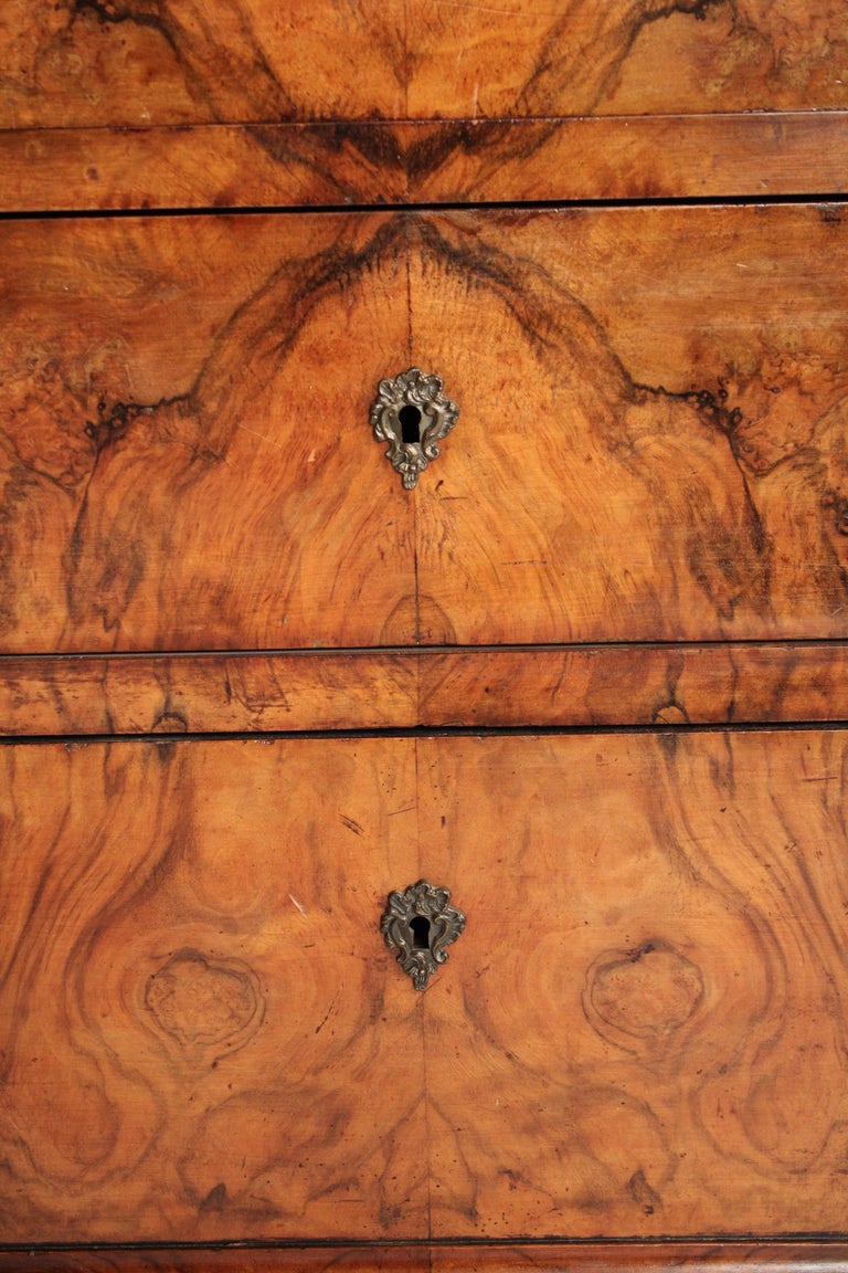 Louis Philippe Burl Walnut Chest of Drawers For Sale at 1stDibs
