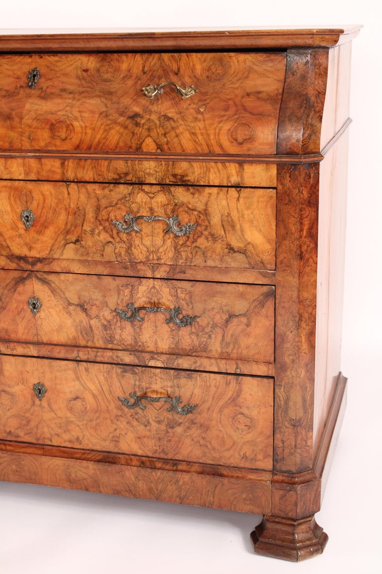 Louis Philippe Burl Walnut Chest of Drawers For Sale at 1stDibs