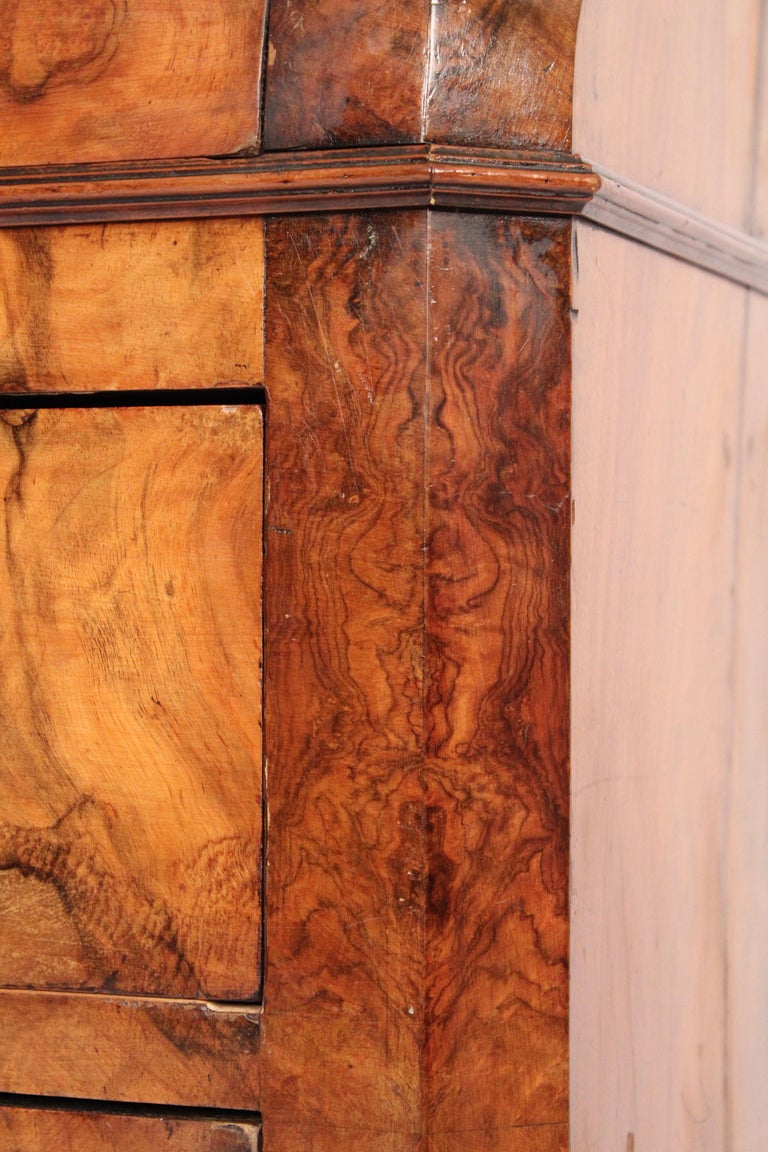 Louis Philippe Burl Walnut Chest of Drawers For Sale at 1stDibs