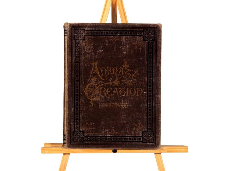 Louis Prang Birds Animate Creation Popular Edition Of Our Living