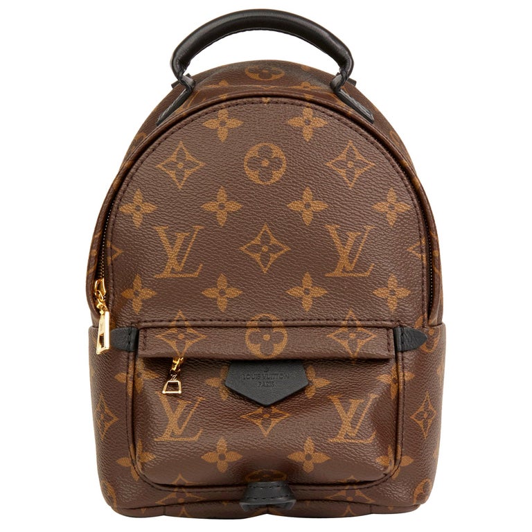 Louis Vuitton Brown Monogram Coated Canvas Mini Palm Springs Backpack at 1stDibs