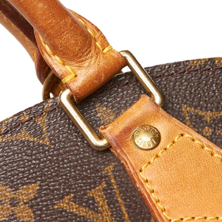 Louis Vuitton Brown Monogram Ellipse PM For Sale at 1stDibs