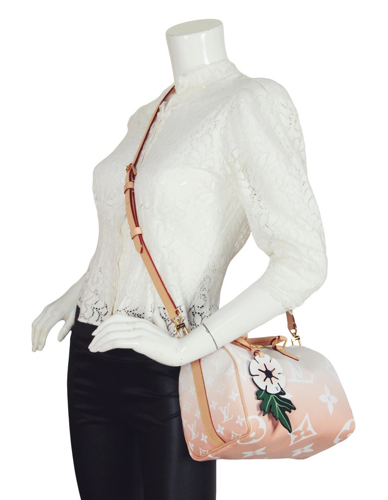 Louis Vuitton Brume Monogram Giant By The Pool Speedy Bandouliere 25 ...