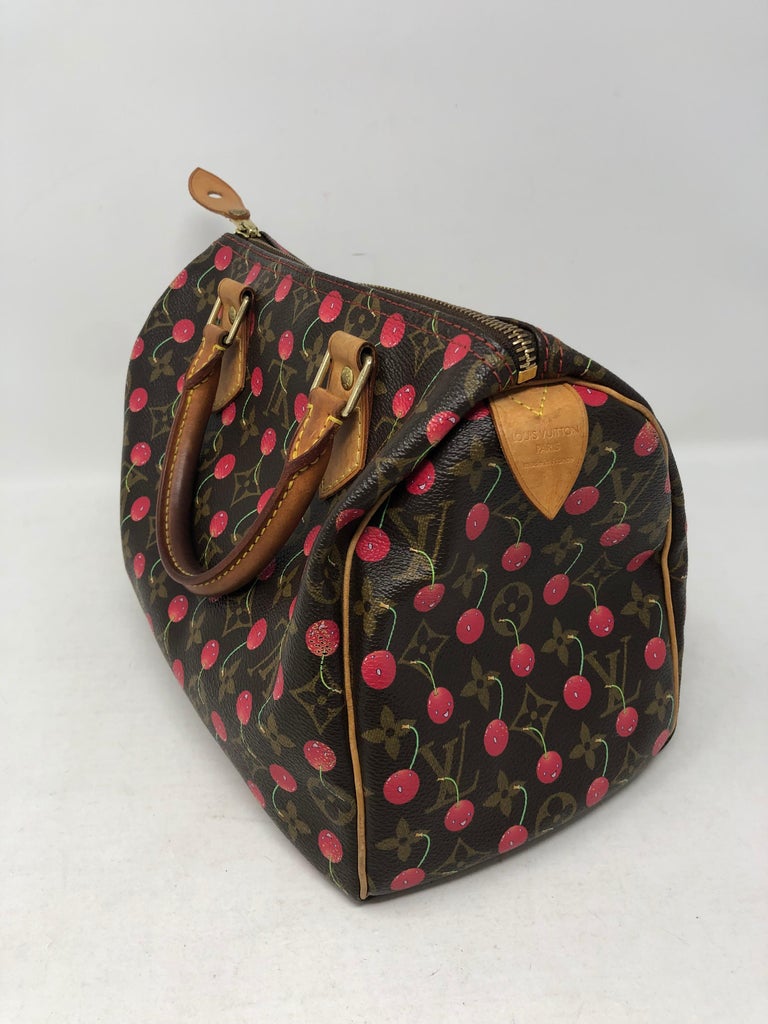 Louis Vuitton Cherry Speedy 25 at 1stDibs | lv cherry speedy