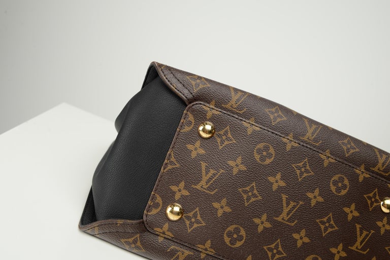 Louis Vuitton Gaia MNG Bag Monogram Canvas For Sale at 1stDibs
