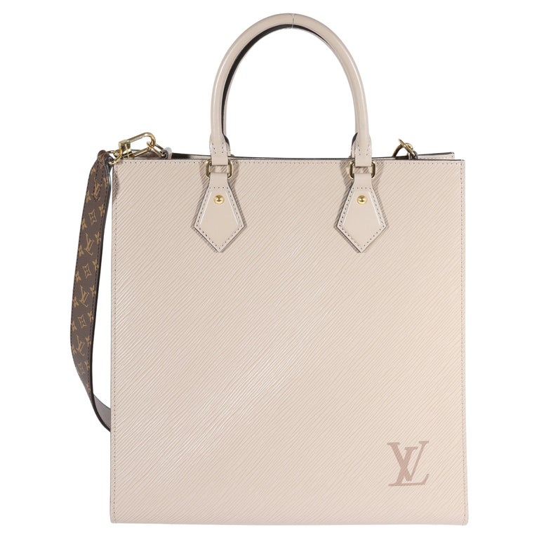 Louis Vuitton Galet Epi and Monogram Canvas Sac Plat PM For Sale at 1stDibs