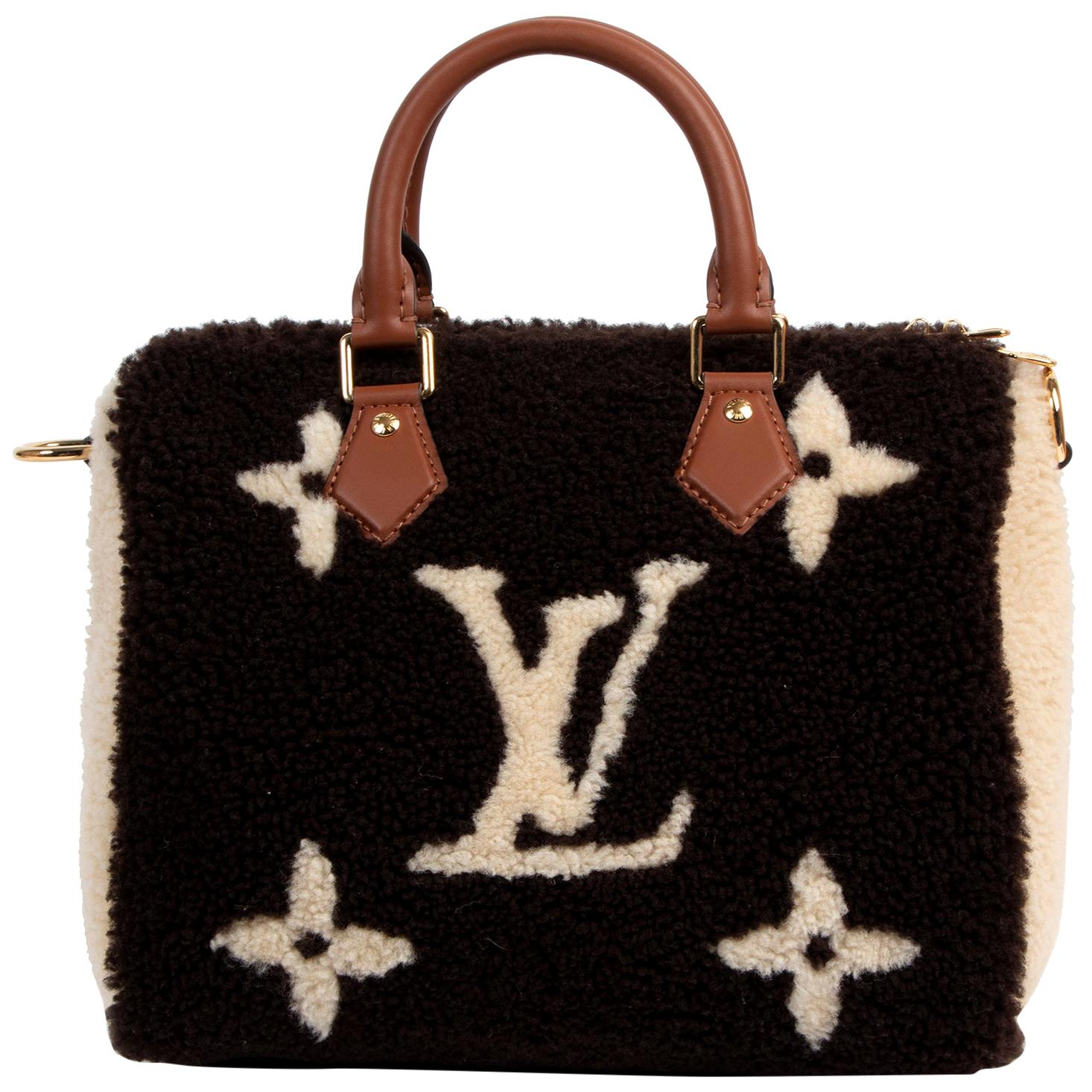 Louis Vuitton Limited Edition Speedy Bandoulière 25 LV Teddy Monogram ...