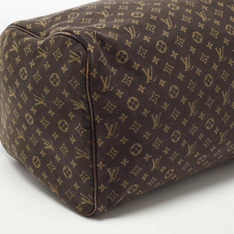 Louis Vuitton Monogram Canvas Mini Lin Speedy 30 Bag For Sale at 1stDibs
