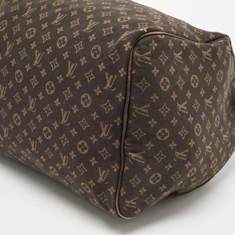 Louis Vuitton Monogram Canvas Mini Lin Speedy 30 Bag For Sale at 1stDibs