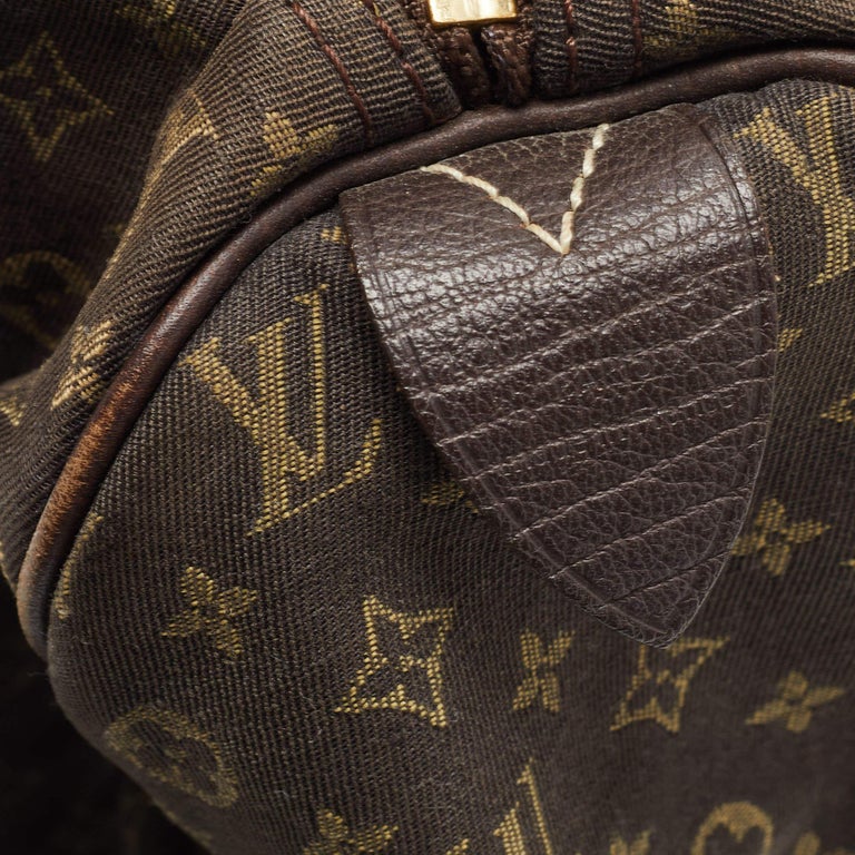 Louis Vuitton Monogram Canvas Mini Lin Speedy 30 Bag For Sale at 1stDibs