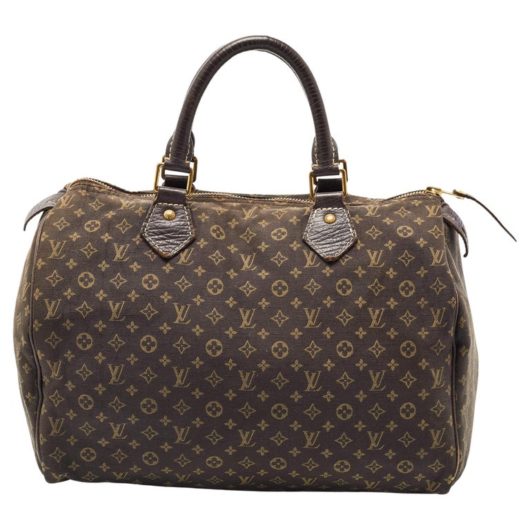 Louis Vuitton Monogram Canvas Mini Lin Speedy 30 Bag For Sale at 1stDibs