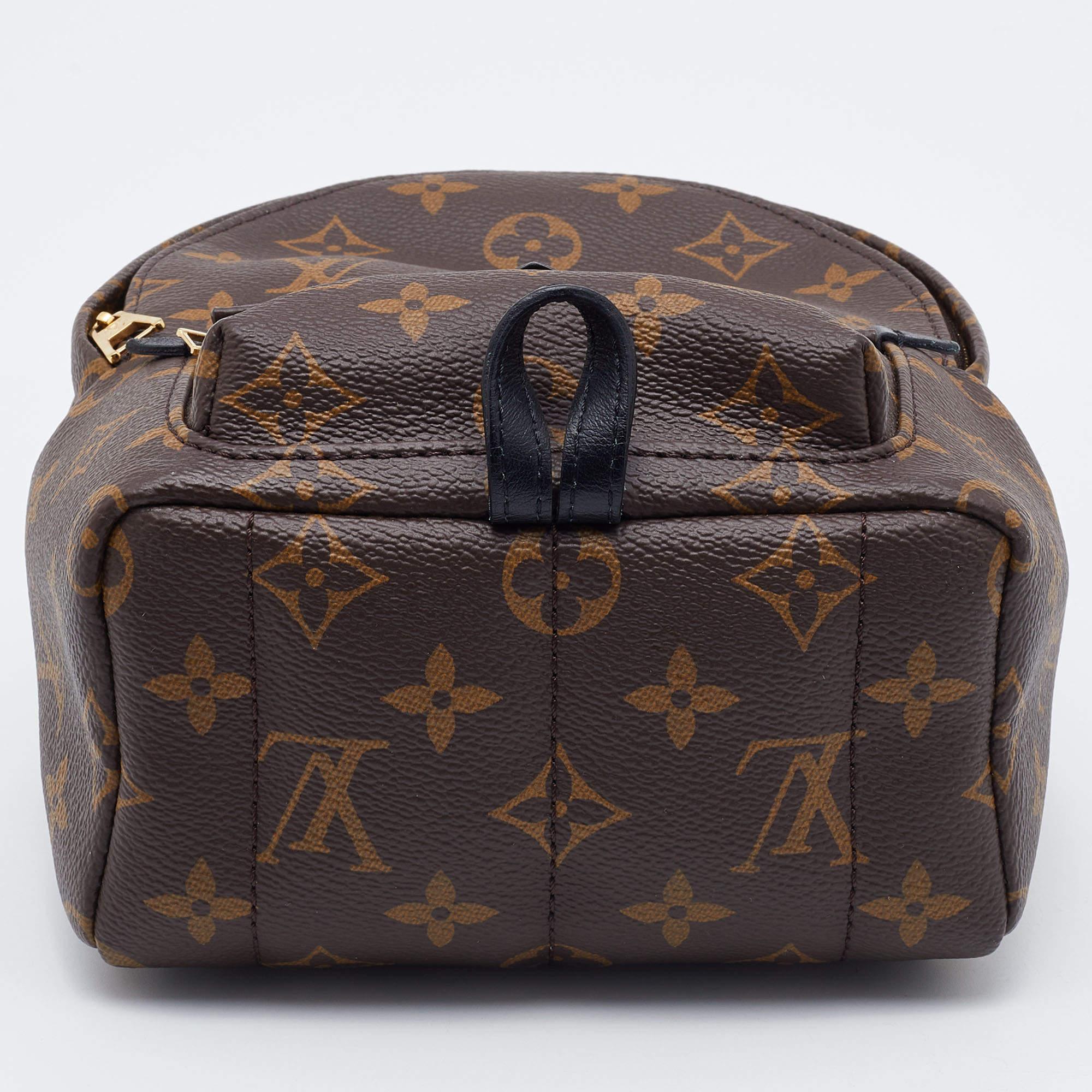 Louis Vuitton Monogram Canvas Mini Palm Springs Backpack at 1stDibs