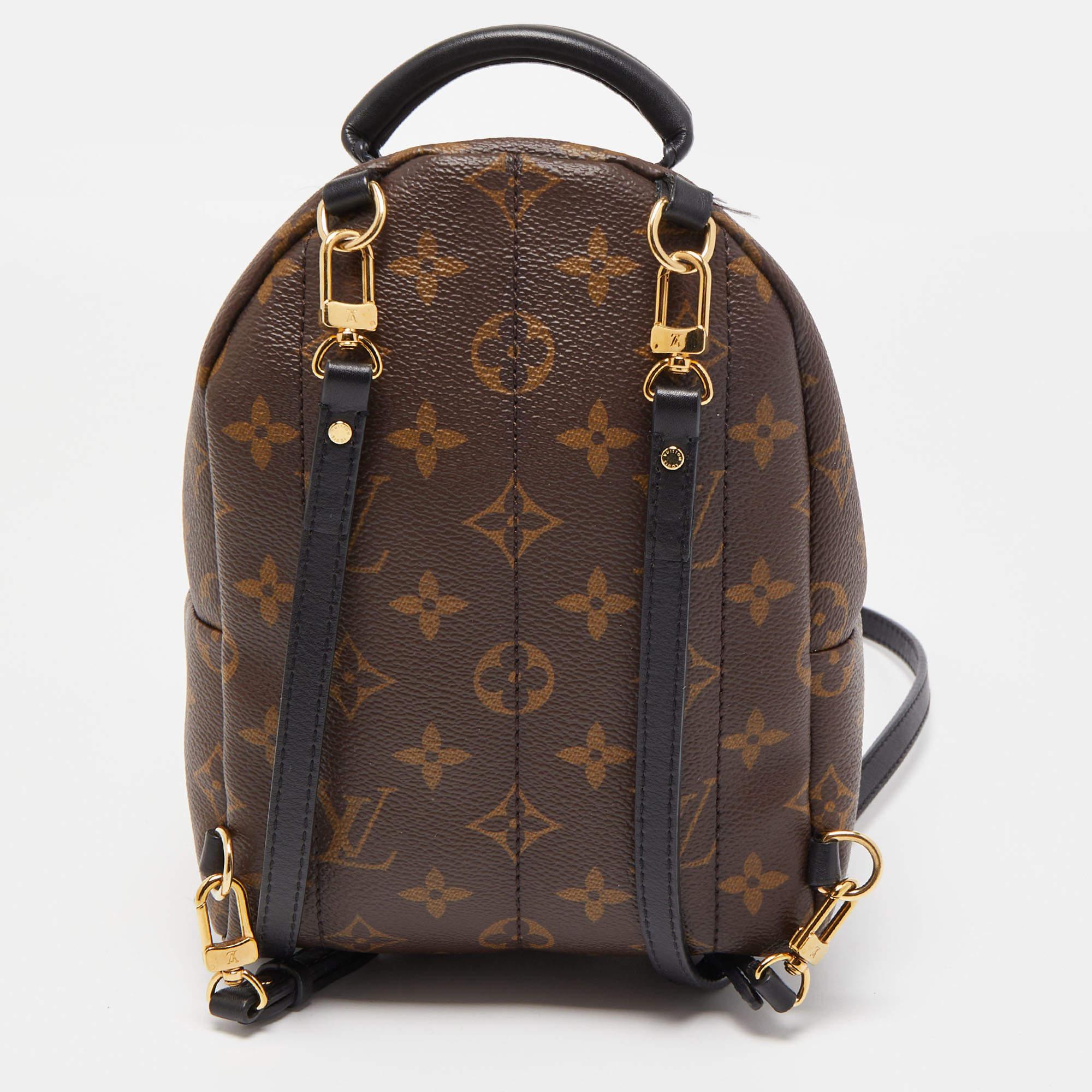 Louis Vuitton Monogram Canvas Palm Springs Mini Backpack For Sale at ...