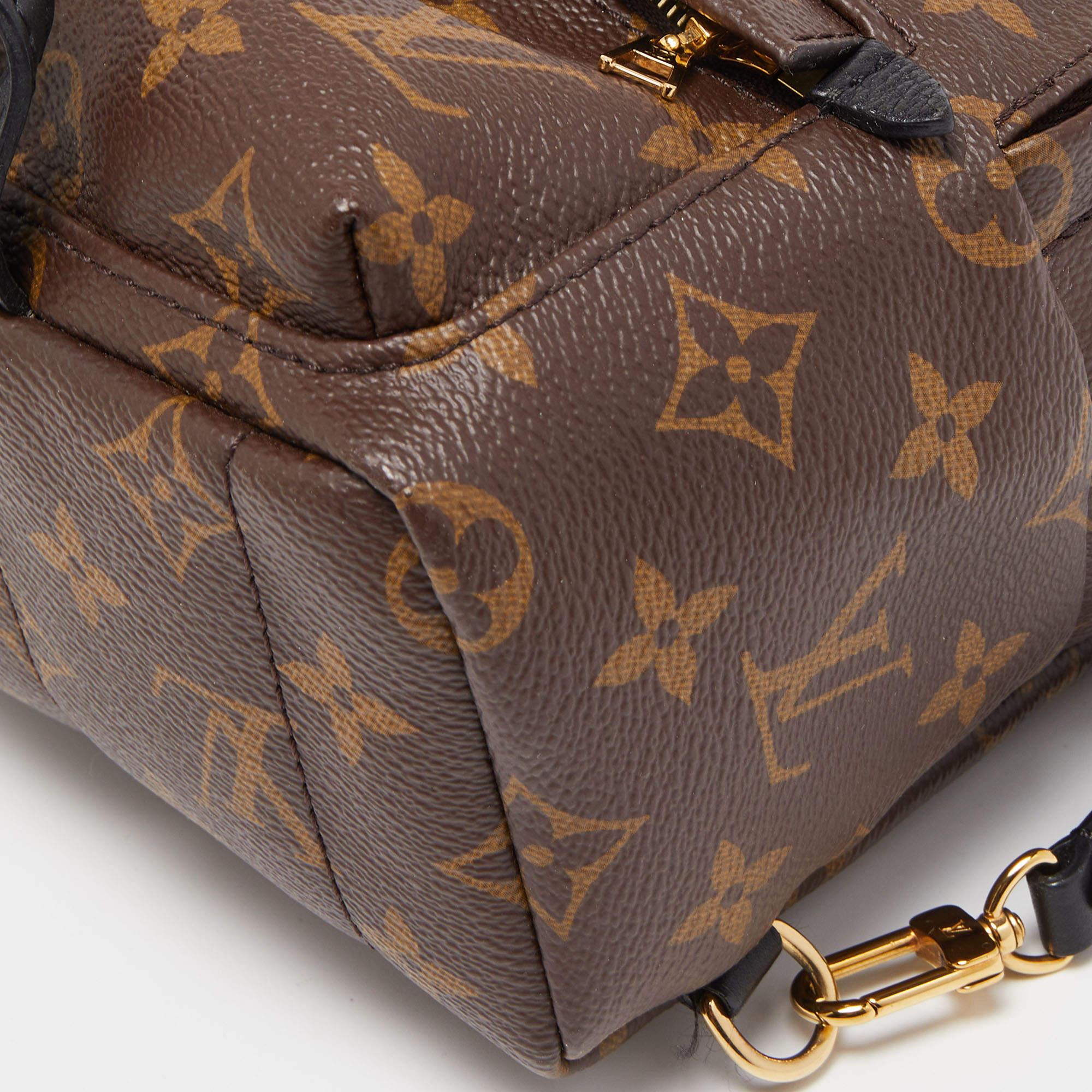 Louis Vuitton Monogram Canvas Palm Springs Mini Backpack For Sale at ...
