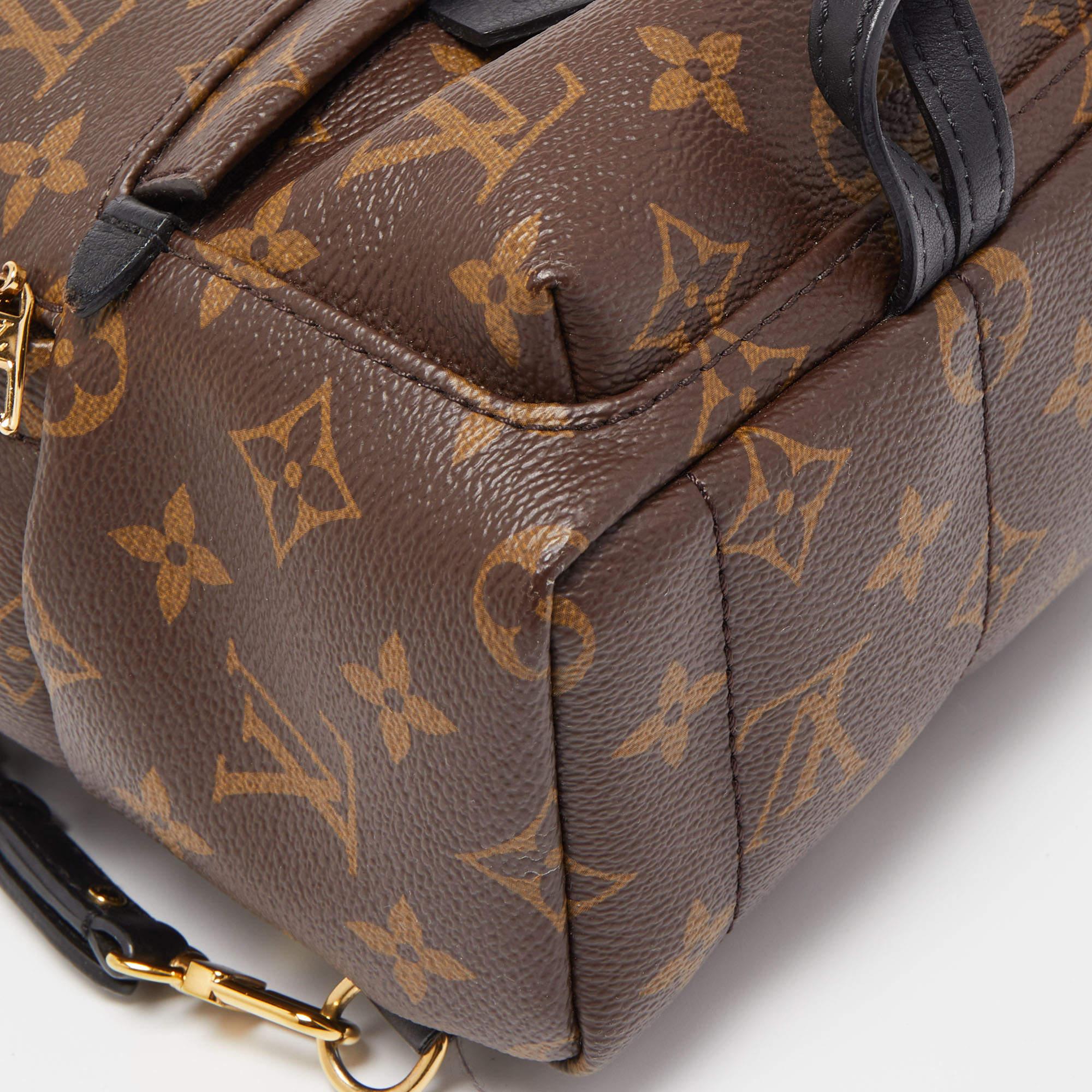 Louis Vuitton Monogram Canvas Palm Springs Mini Backpack For Sale at ...
