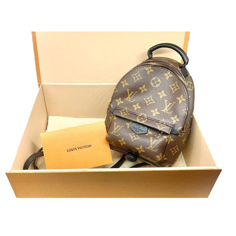 Louis Vuitton Monogram Canvas Palm Springs Mini Backpack For Sale at ...