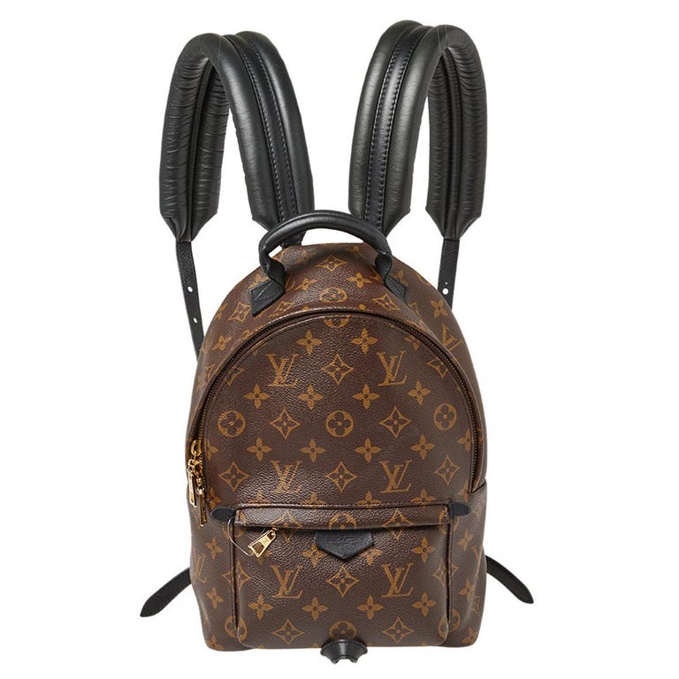 Louis Vuitton Monogram Canvas Palm Springs PM Backpack at 1stDibs