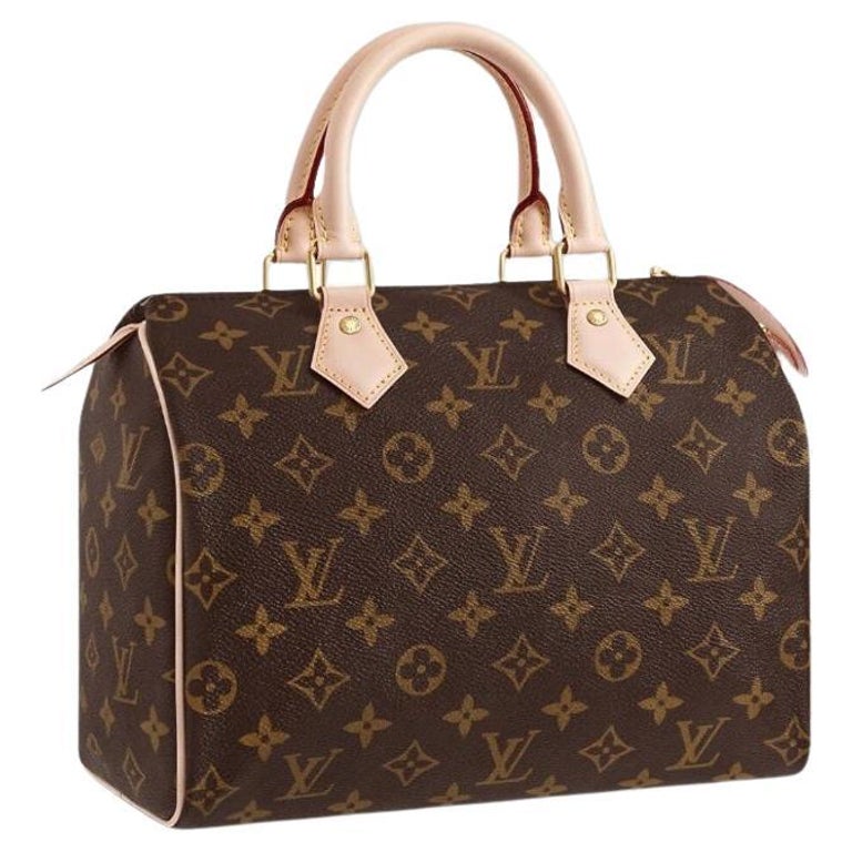Louis Vuitton Monogram Canvas Speedy 25 For Sale at 1stDibs