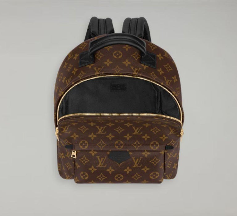 Louis Vuitton Monogram Coated Canvas Palm Springs MM For Sale at 1stDibs