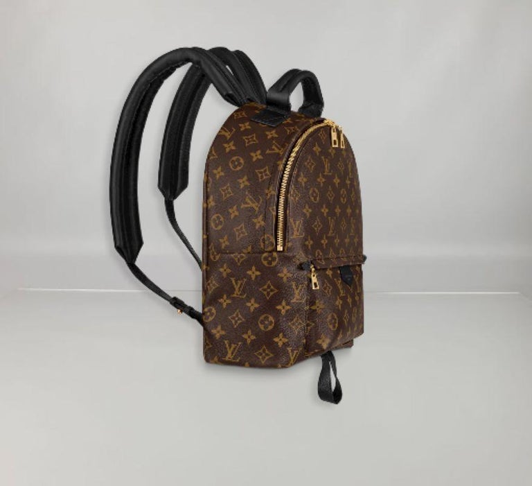 Louis Vuitton Monogram Coated Canvas Palm Springs MM For Sale at 1stDibs