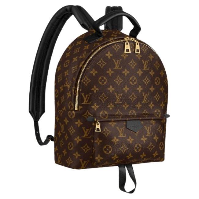 Louis Vuitton Monogram Coated Canvas Palm Springs MM For Sale at 1stDibs