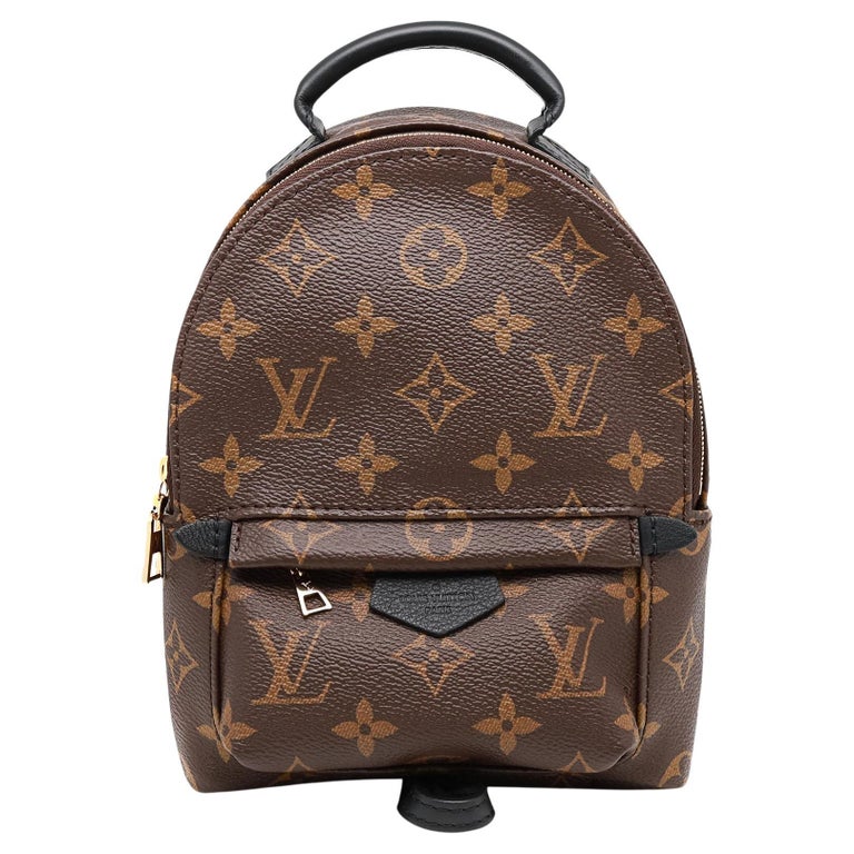 Louis Vuitton Monogram Palm Springs Brown Mini Backpack For Sale at 1stDibs