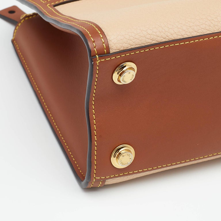 Louis Vuitton Multicolor Taurillon Leather City Steamer Mini Bag For ...