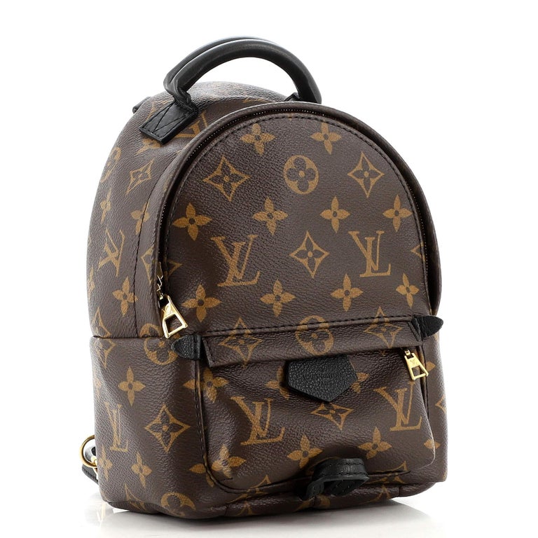 Louis Vuitton Palm Springs Backpack Monogram Canvas Mini For Sale at ...