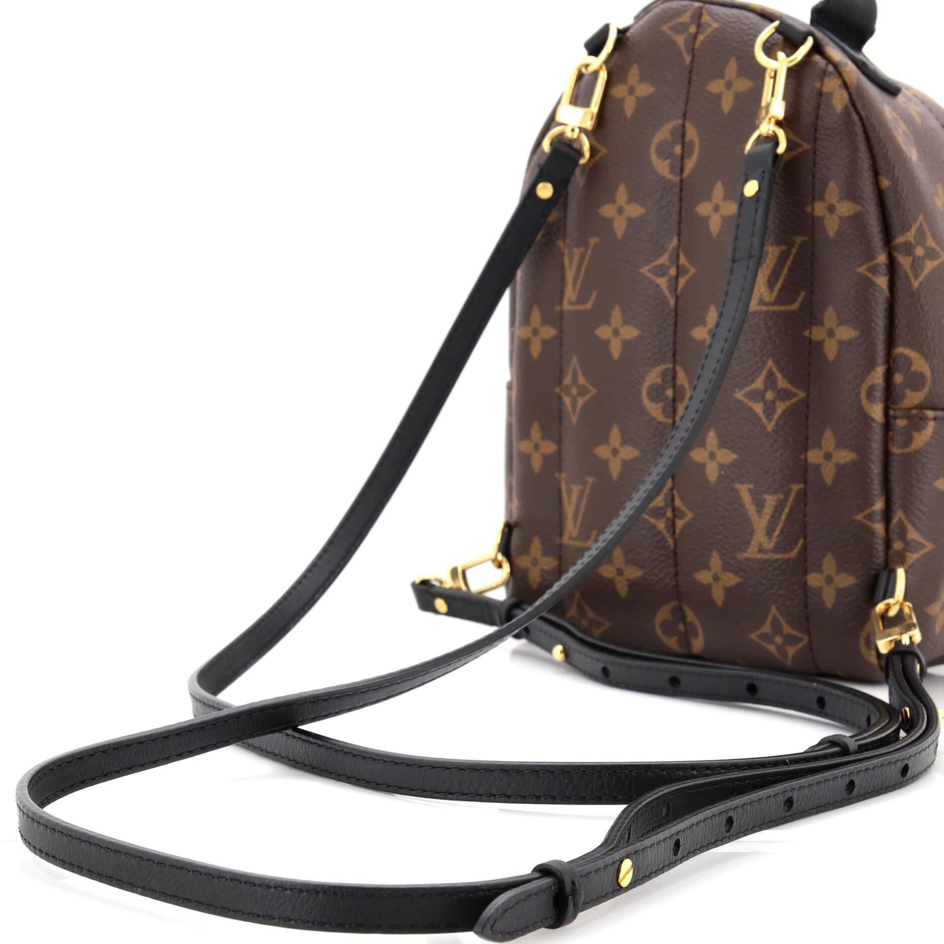 Louis Vuitton Palm Springs Backpack Monogram Canvas Mini For Sale at ...