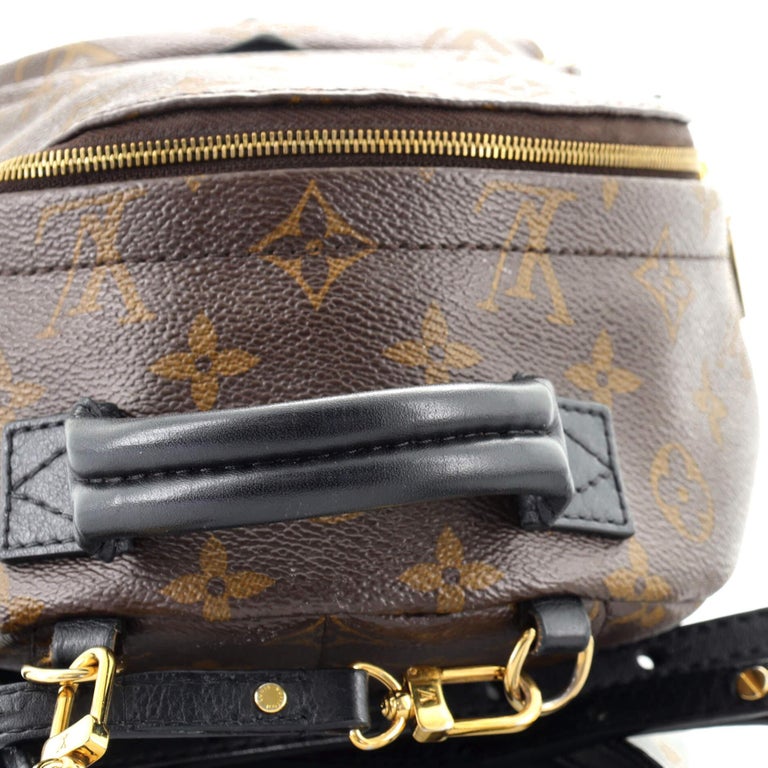 Louis Vuitton Palm Springs Backpack Monogram Canvas Mini at 1stDibs