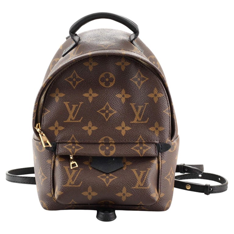 Louis Vuitton Palm Springs Backpack Monogram Canvas Mini at 1stDibs
