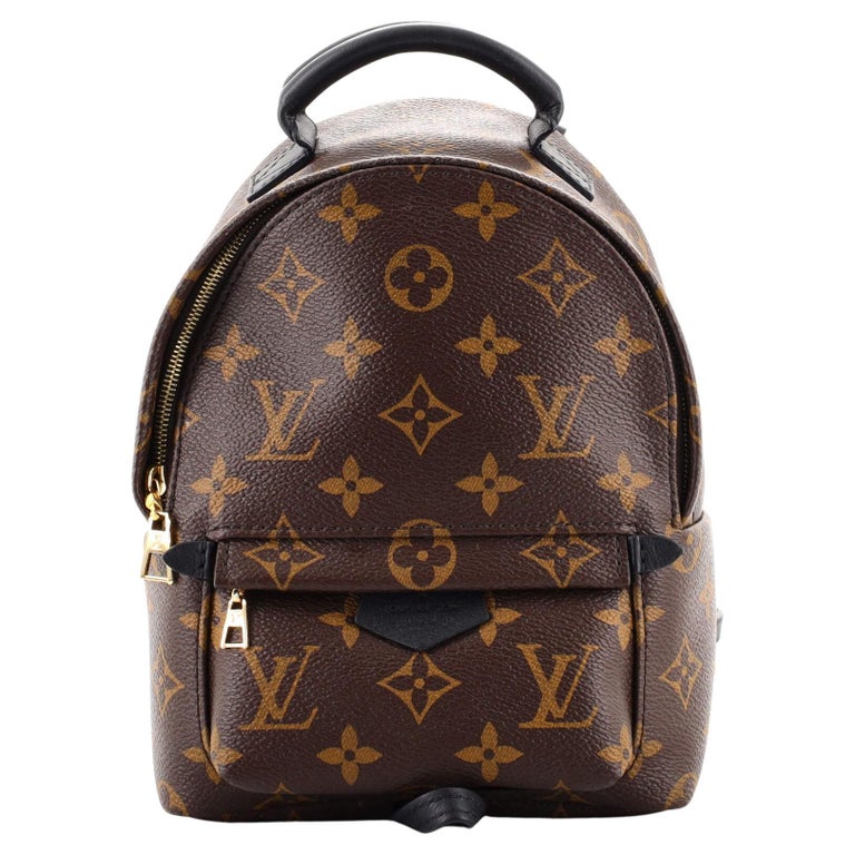 Louis Vuitton Palm Springs Backpack Monogram Canvas Mini at 1stDibs