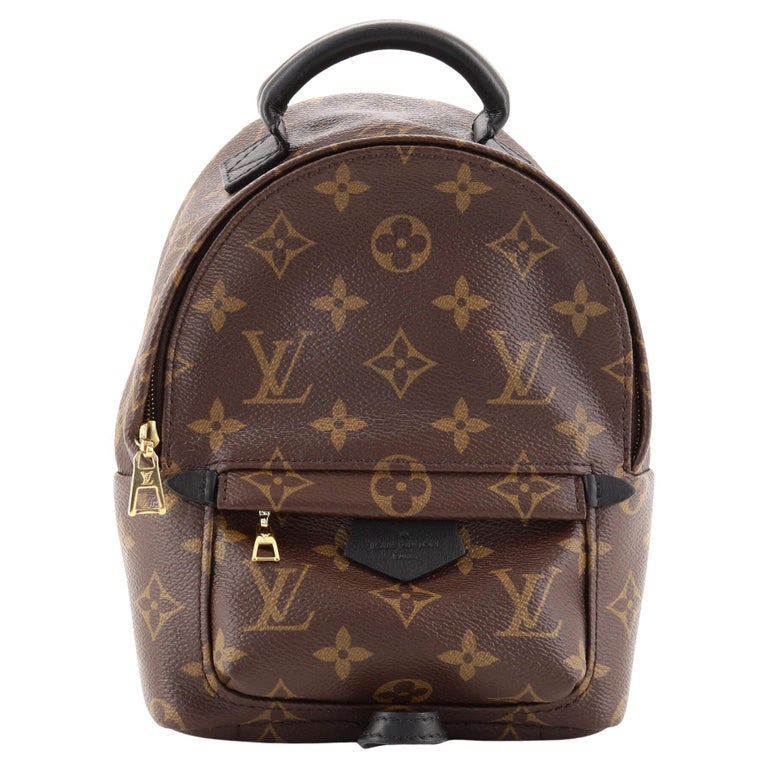 Louis Vuitton Palm Springs Backpack Monogram Canvas Mini For Sale at ...