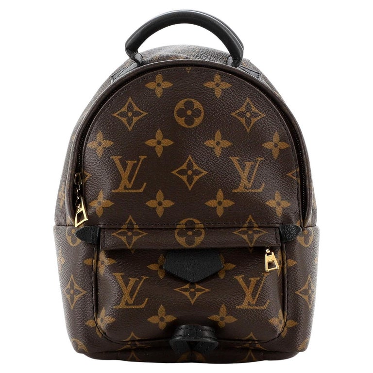 Louis Vuitton Palm Springs Backpack Monogram Canvas Mini For Sale at ...