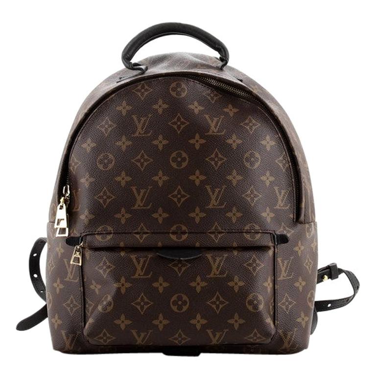 Louis Vuitton Palm Springs Backpack Monogram Canvas MM at 1stDibs