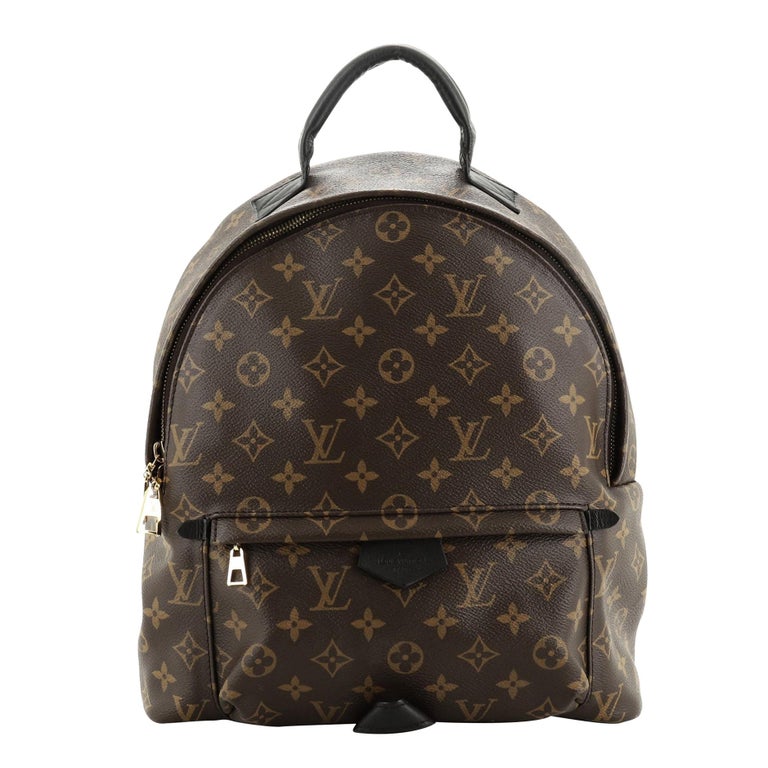 Louis Vuitton Palm Springs Backpack Monogram Canvas MM at 1stDibs | louis vuitton palm springs ...