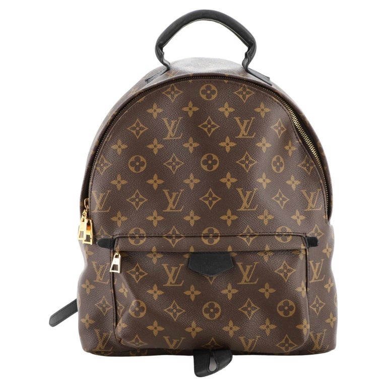 Louis Vuitton Palm Springs Backpack Monogram Canvas MM at 1stDibs