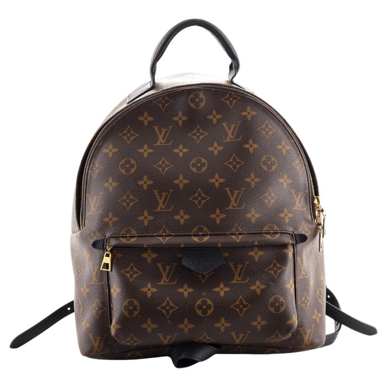 Louis Vuitton Palm Springs Backpack Monogram Canvas MM For Sale at 1stDibs