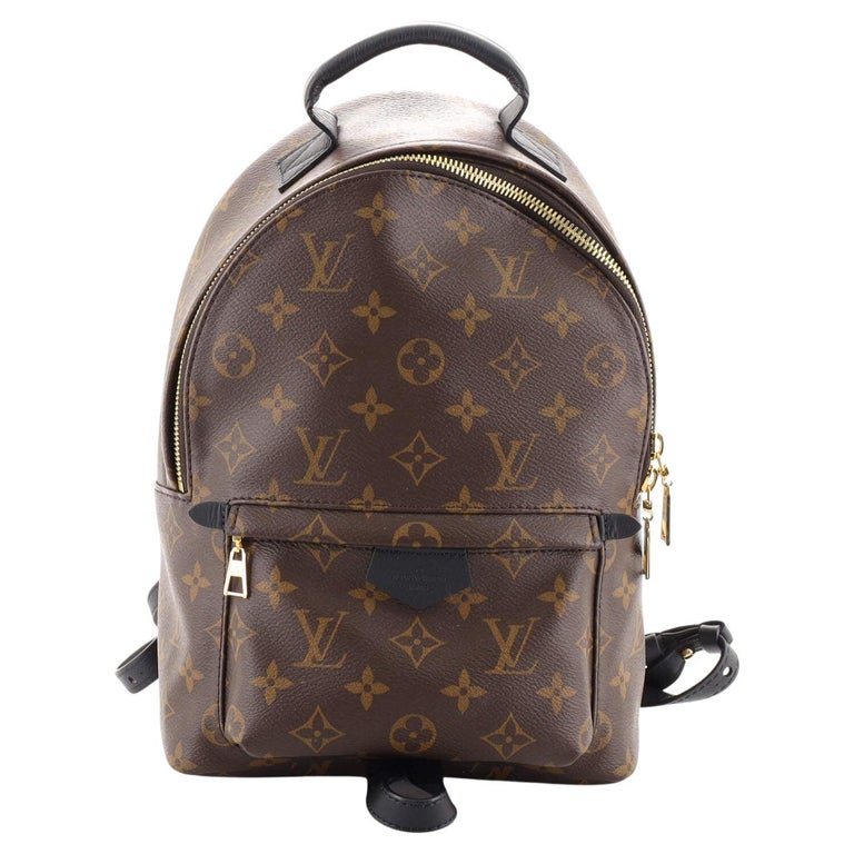 Louis Vuitton Palm Springs Backpack Monogram Canvas PM at 1stDibs