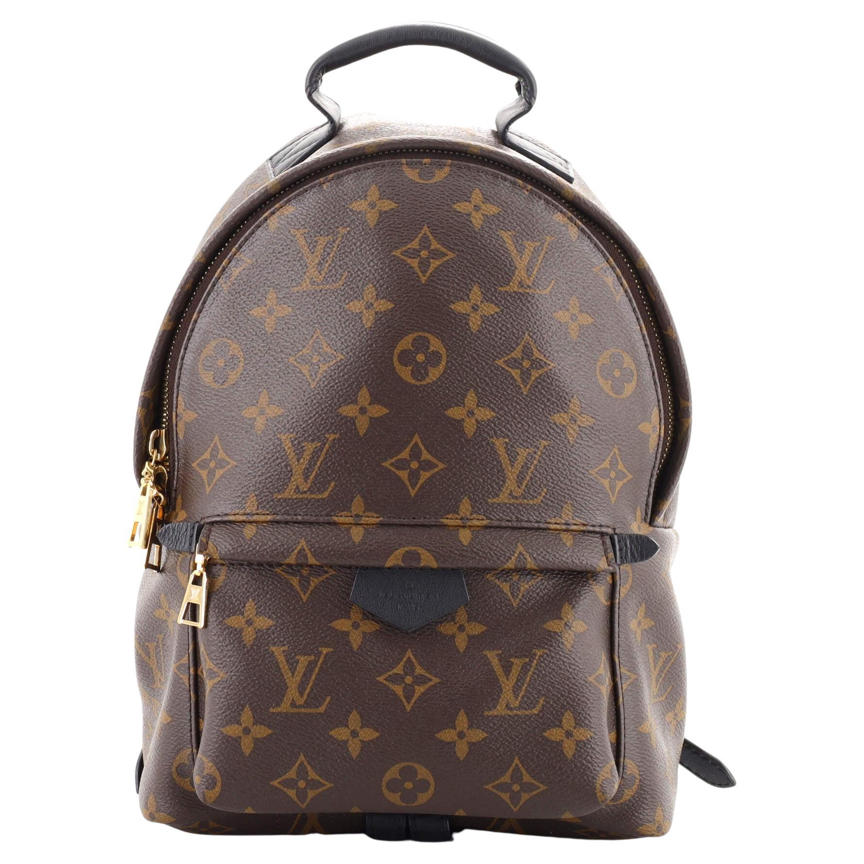 Louis Vuitton Monogram Canvas Palm Springs Mini Backpack at 1stDibs